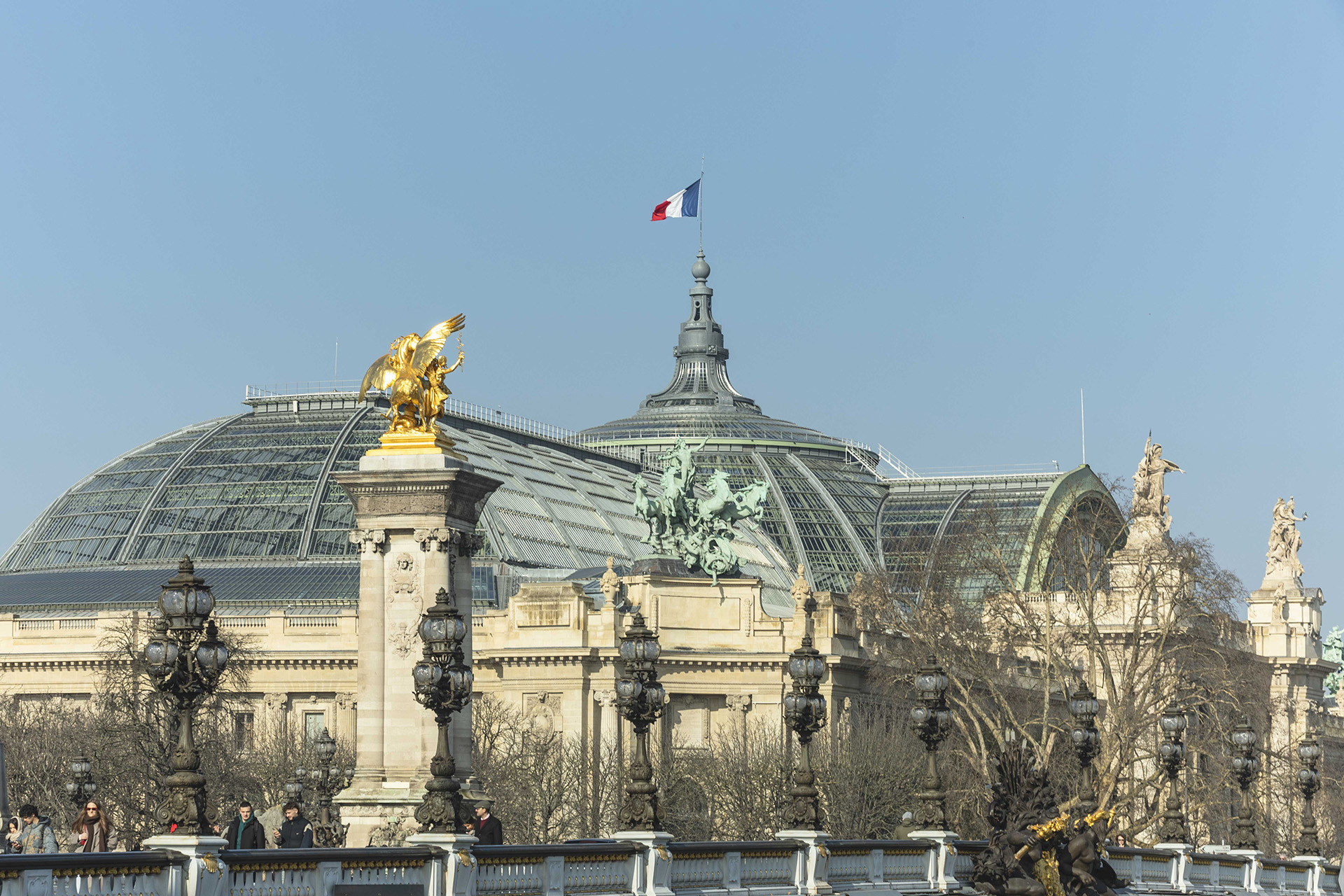 COLLECTOR | Grand Palais